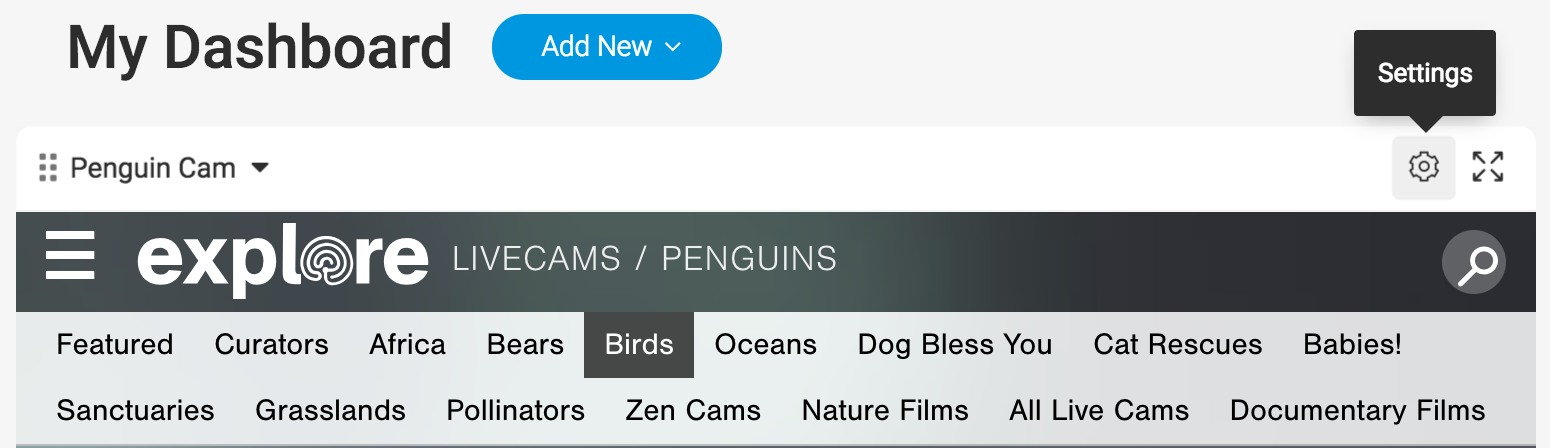The "Embed Everything" widget – Support
